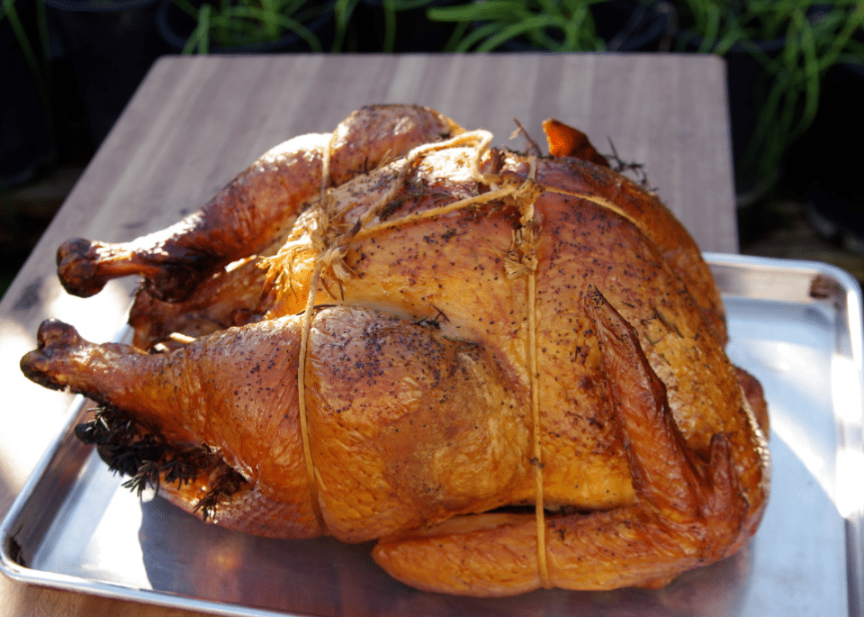 Cooking Frog - Place for healthy and tasty food