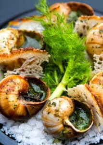Authentic Homemade Escargots Easy Recipe - Cooking Frog